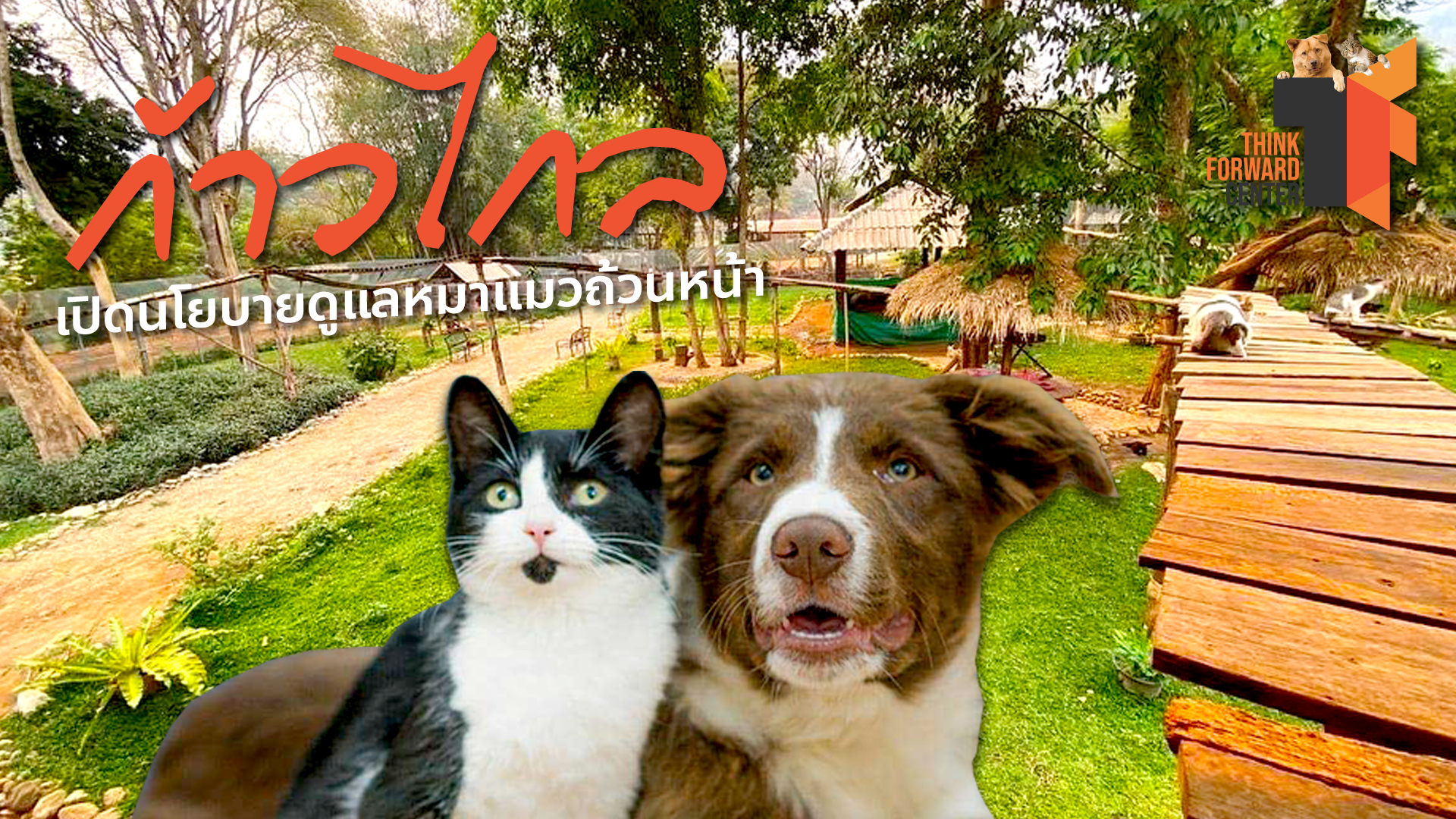 ก้าวไกลเข้าใจหมาแมวเปิดนโยบายดูแลหมาแมวถ้วนหน้า – Think Forward Center