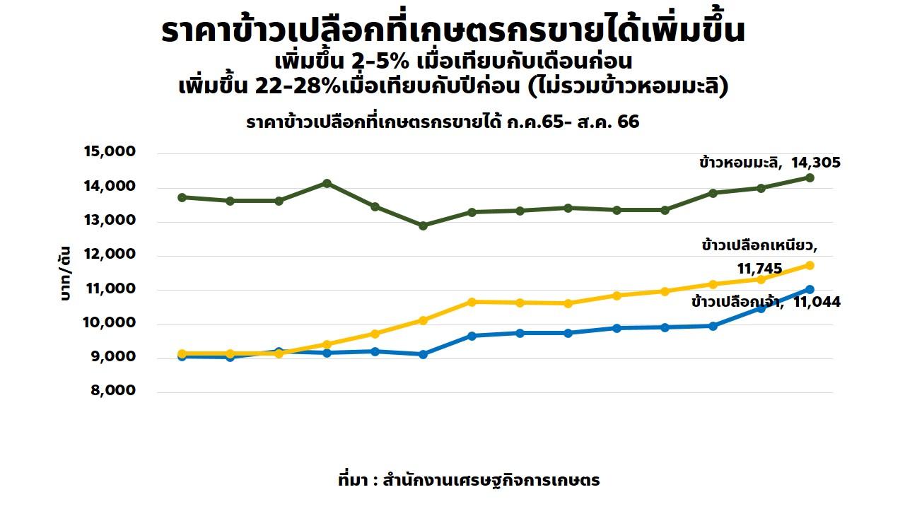 สถานการณ์ราคาข้าวไทย 2566/67: ข่าวดี และสิ่งที่ต้องระวัง – Think Forward Center